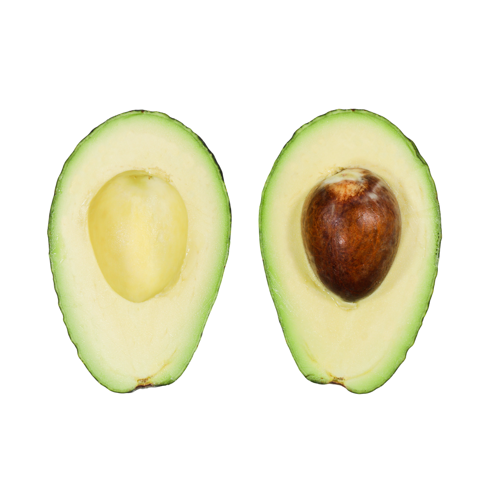 Avocado | Food Collective Wholesaler