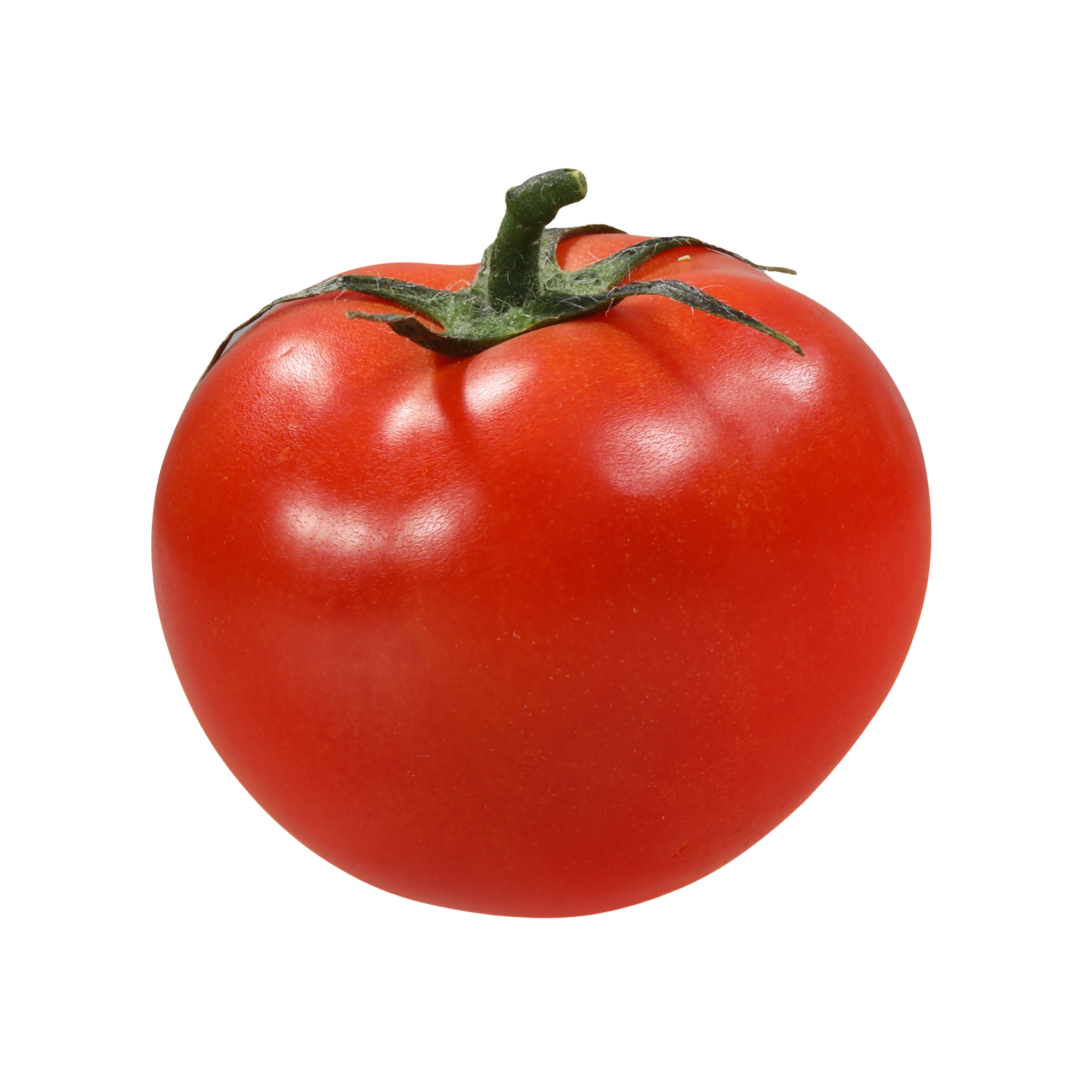 Tomato | Food Collective Wholesaler